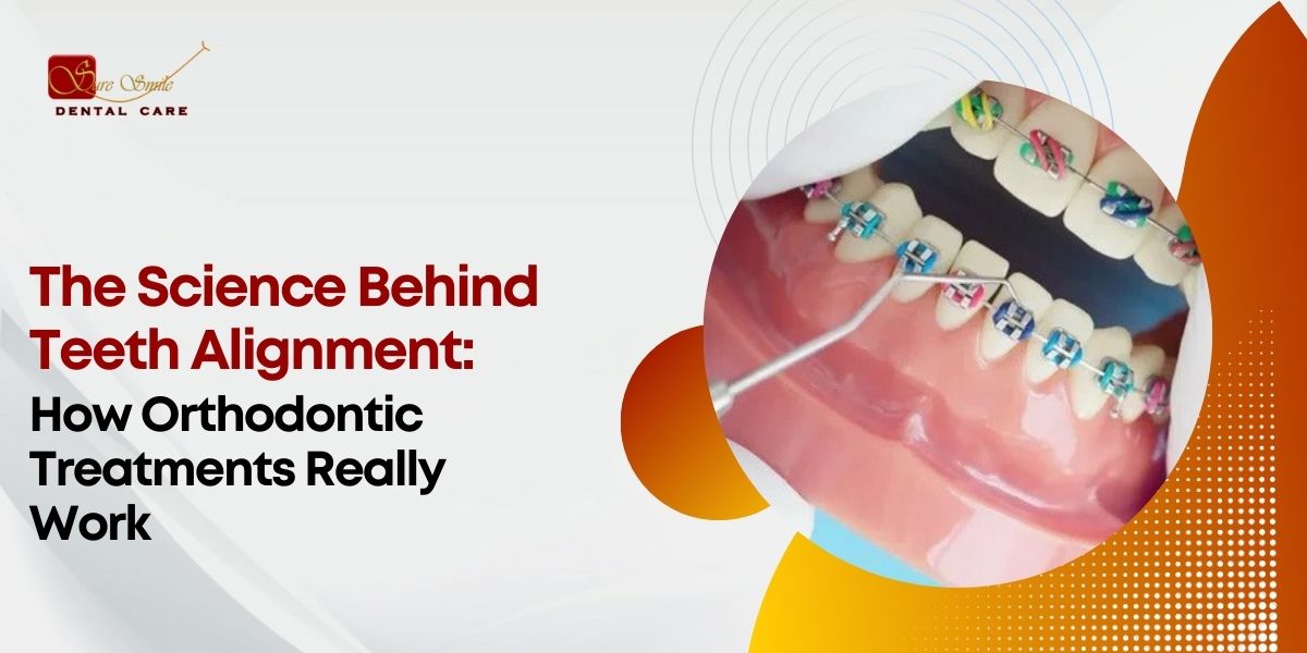 The Science Behind Teeth Alignment: How Orthodontic Treatments Really Work